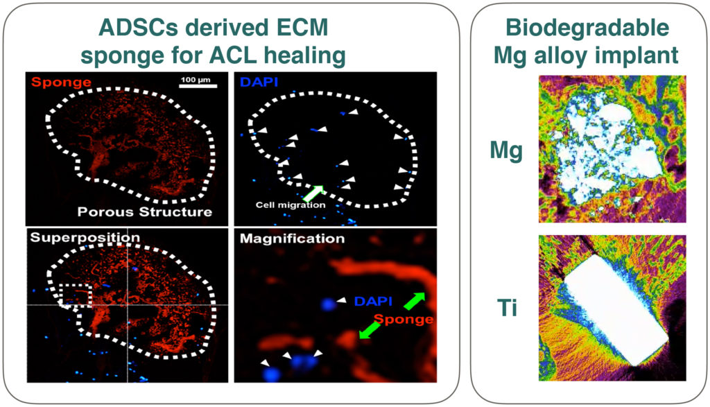 Bone and Joint Research Lab – Asian ♦ American Institute for Research ...